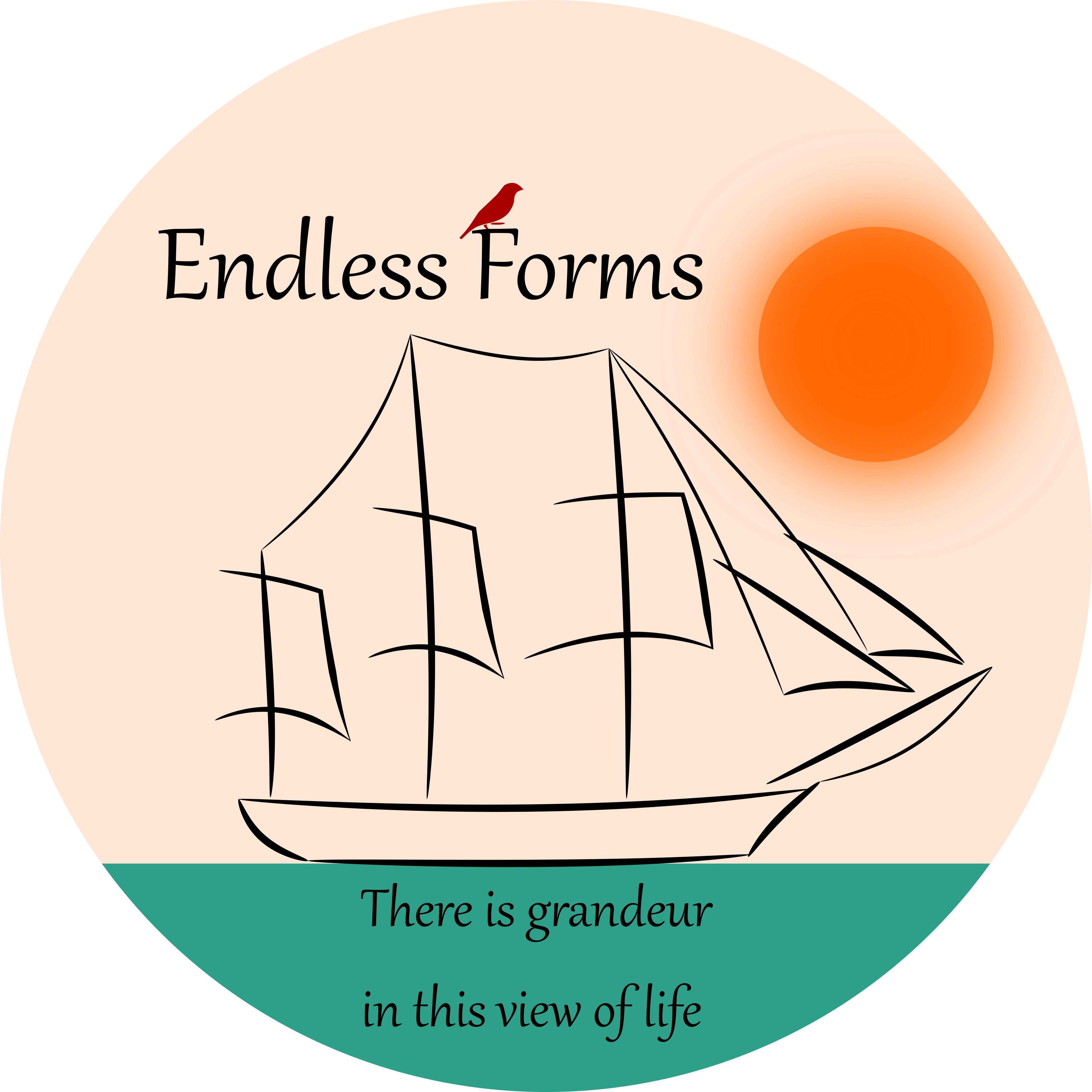 About | endlessforms
